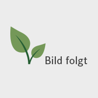 Kapok-Kopfkissen "Java" | allnatura Österreich